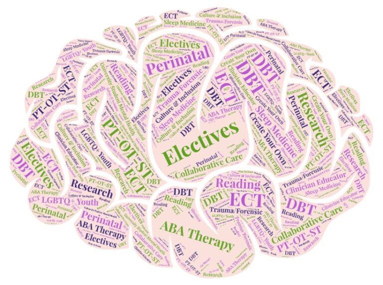 Electives | Child & Adolescent Psychiatry | Washington University in St ...